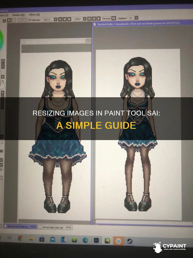 Resizing Images In Paint Tool Sai: A Simple Guide | CyPaint