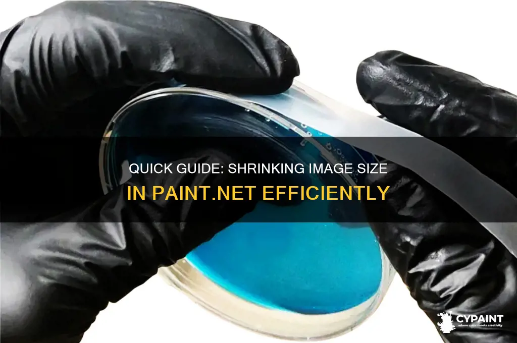 Quick Guide: Shrinking Image Size In Paint.Net Efficiently | CyPaint