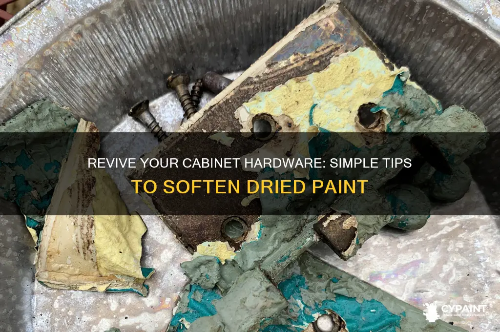 Revive Your Cabinet Hardware: Simple Tips To Soften Dried Paint | CyPaint