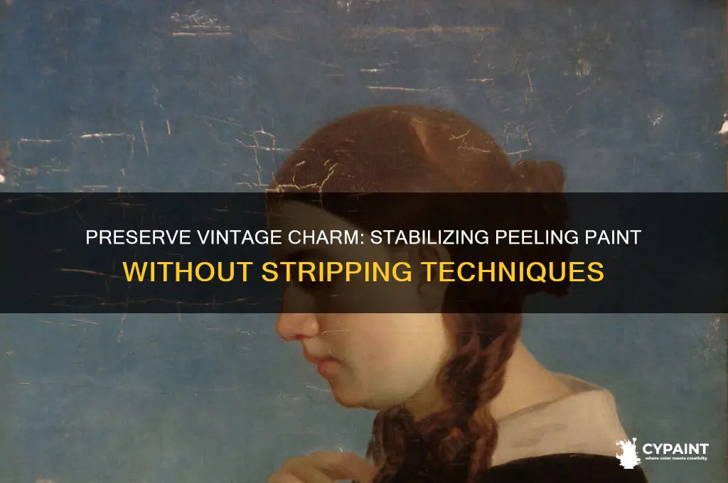 Preserve Vintage Charm: Stabilizing Peeling Paint Without Stripping ...