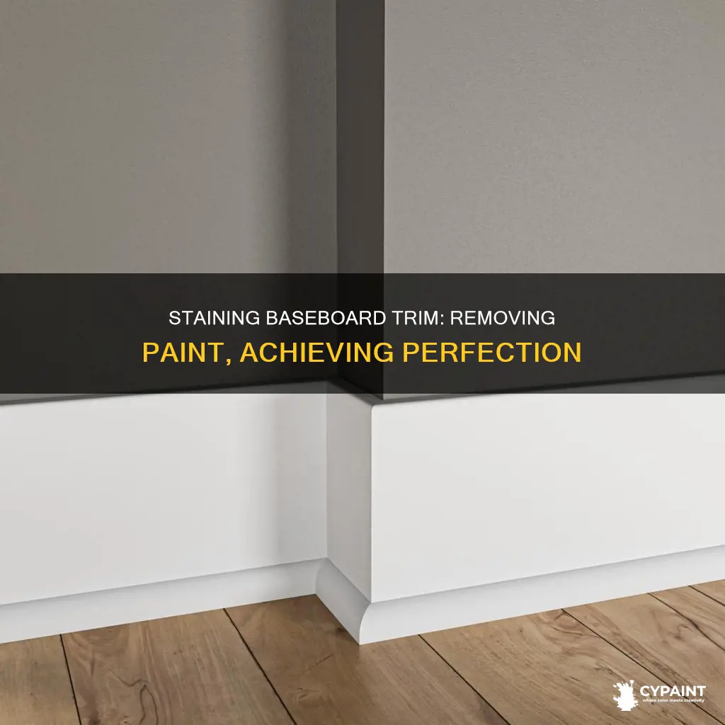 Staining Baseboard Trim: Removing Paint, Achieving Perfection | CyPaint