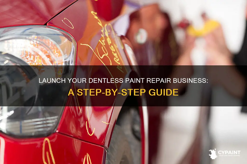 Launch Your Dentless Paint Repair Business: A Step-By-Step Guide | CyPaint