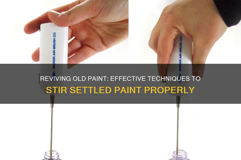 Reviving Old Paint: Effective Techniques To Stir Settled Paint Properly ...