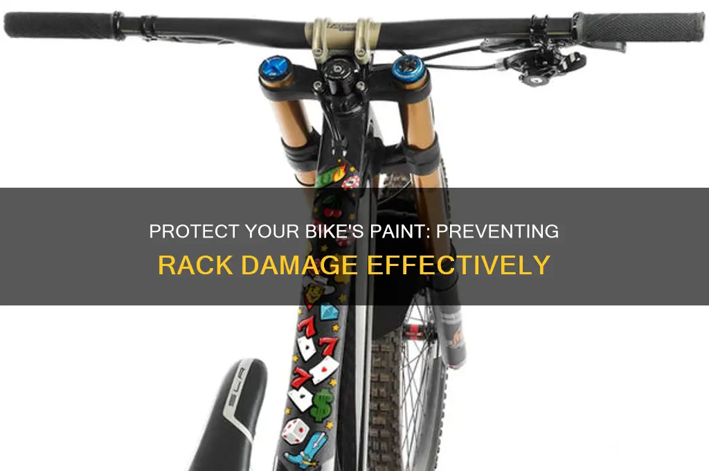 Protect Your Bike's Paint: Preventing Rack Damage Effectively | CyPaint