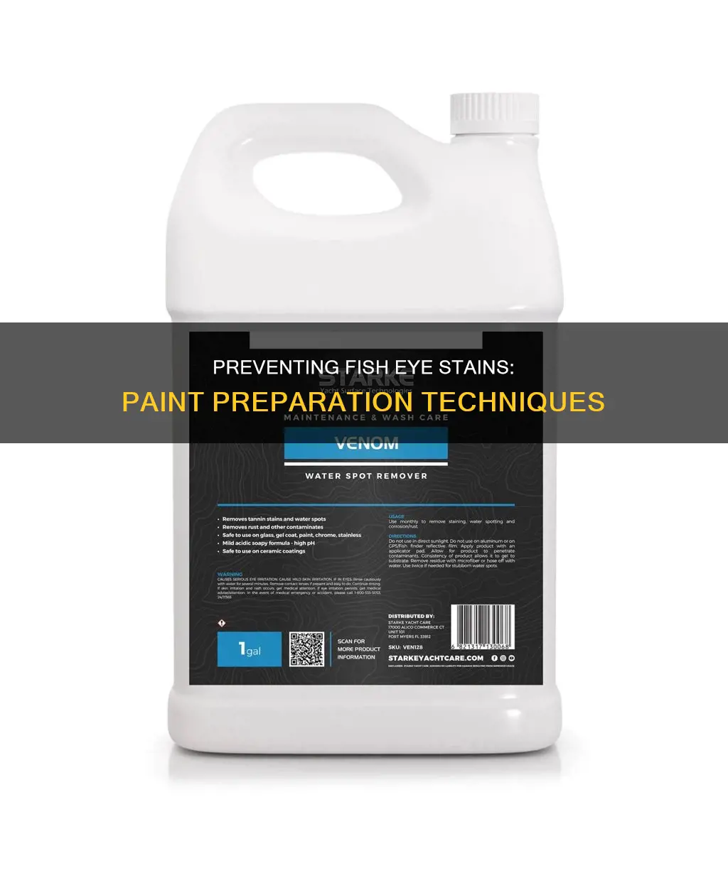 Preventing Fish Eye Stains: Paint Preparation Techniques | CyPaint