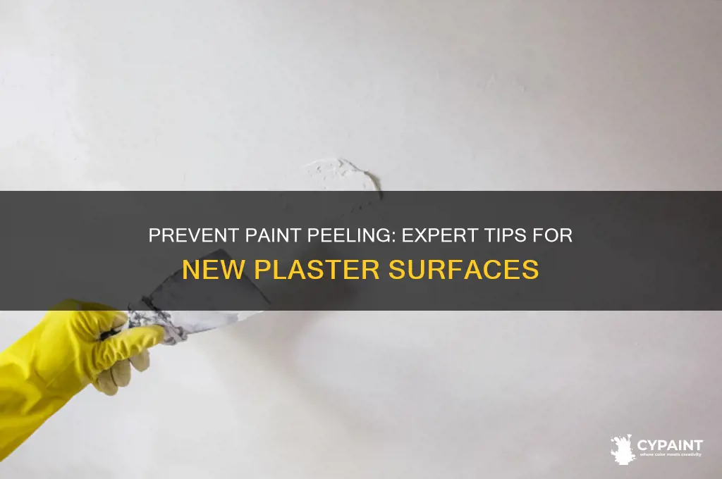 Prevent Paint Peeling: Expert Tips For New Plaster Surfaces | CyPaint