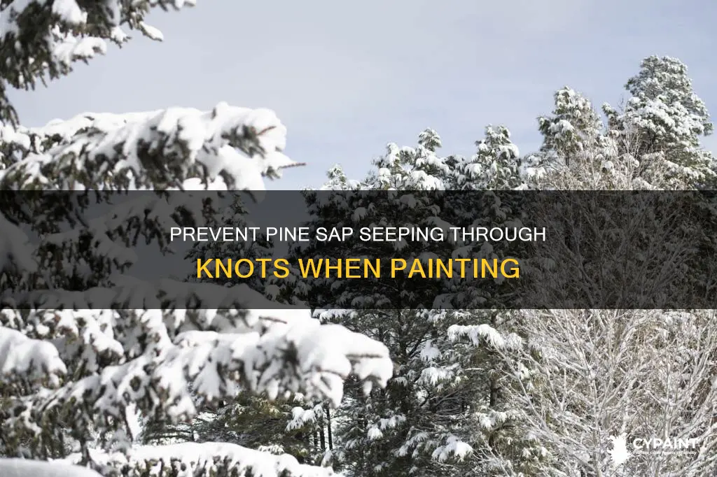 Prevent Pine Sap Seeping Through Knots When Painting | CyPaint