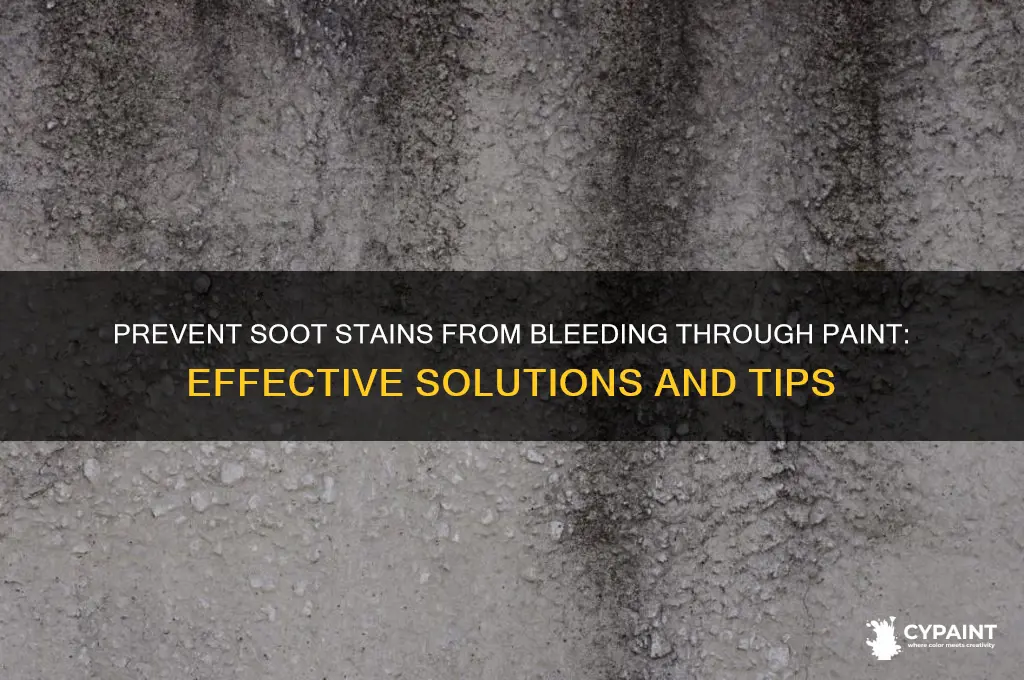Prevent Soot Stains From Bleeding Through Paint: Effective Solutions ...