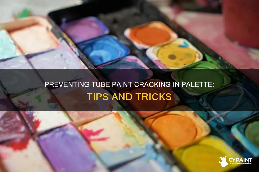 Preventing Tube Paint Cracking In Palette: Tips And Tricks | CyPaint