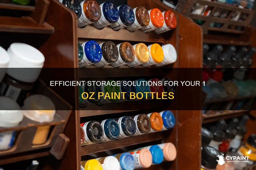 Efficient Storage Solutions For Your 1 Oz Paint Bottles | CyPaint