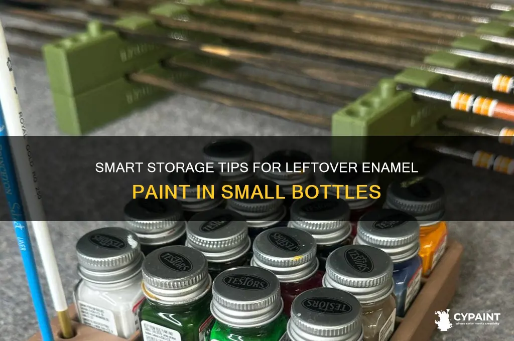 Smart Storage Tips For Leftover Enamel Paint In Small Bottles | CyPaint
