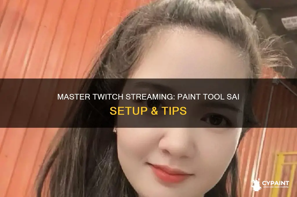 Master Twitch Streaming: Paint Tool Sai Setup & Tips | CyPaint