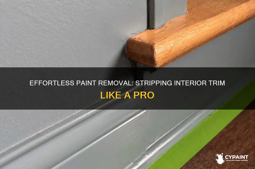Effortless Paint Removal: Stripping Interior Trim Like A Pro | CyPaint