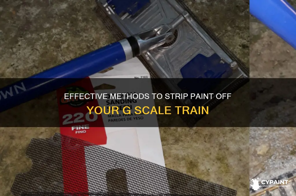 Effective Methods To Strip Paint Off Your G Scale Train | CyPaint