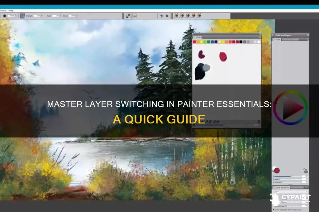 Master Layer Switching In Painter Essentials: A Quick Guide | CyPaint