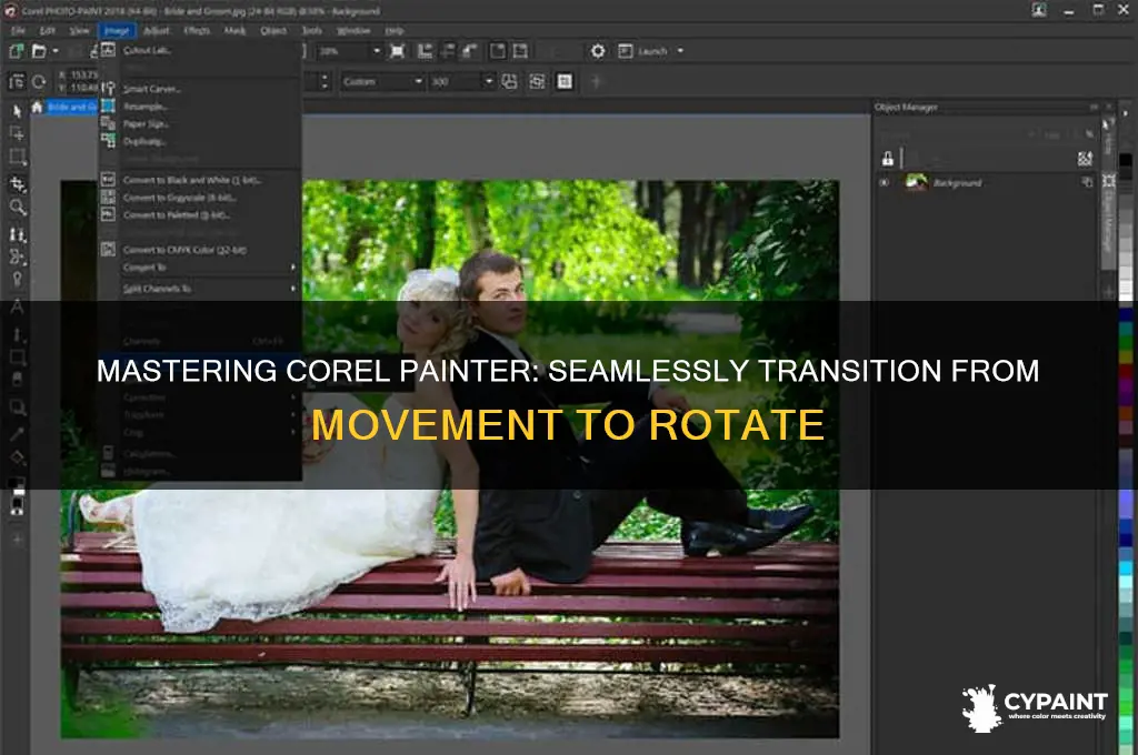 Mastering Corel Painter: Seamlessly Transition From Movement To Rotate ...