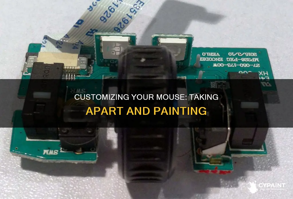 Customizing Your Mouse: Taking Apart And Painting | CyPaint