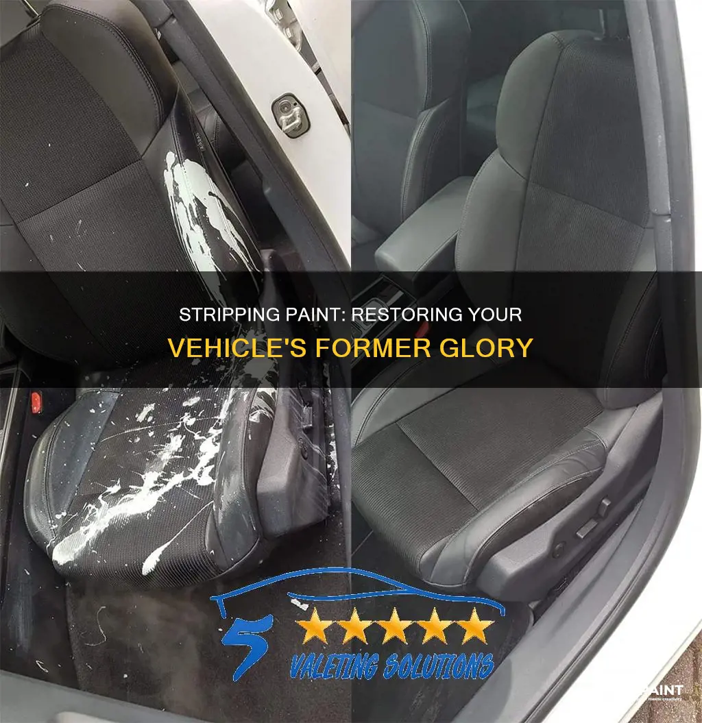 Stripping Paint: Restoring Your Vehicle's Former Glory | CyPaint