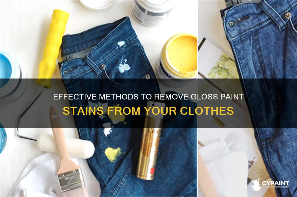 Effective Methods To Remove Gloss Paint Stains From Your Clothes | CyPaint