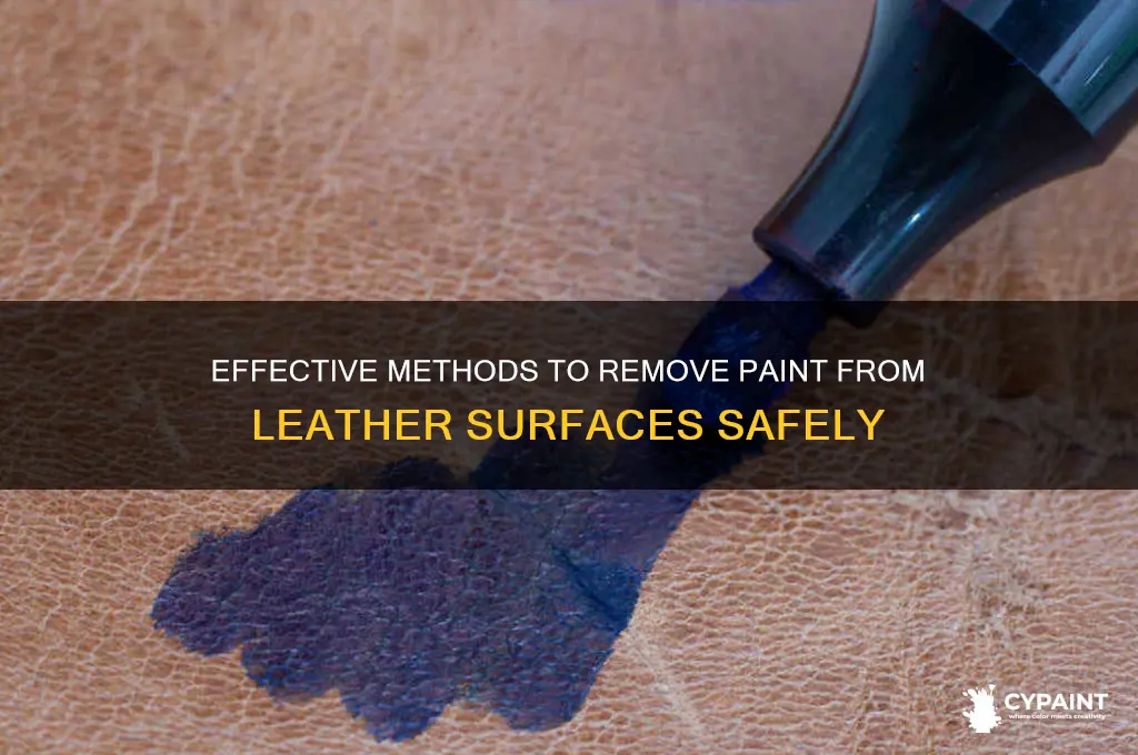 Inspiring Remove Paint From Leather Seats Gallery