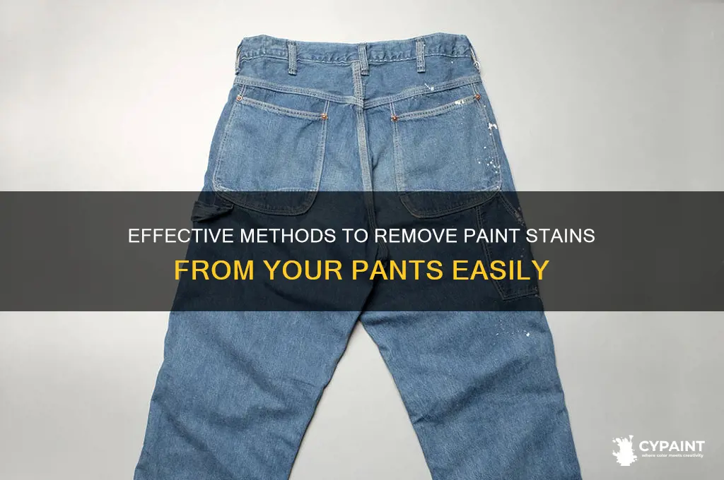 Effective Methods To Remove Paint Stains From Your Pants Easily | CyPaint