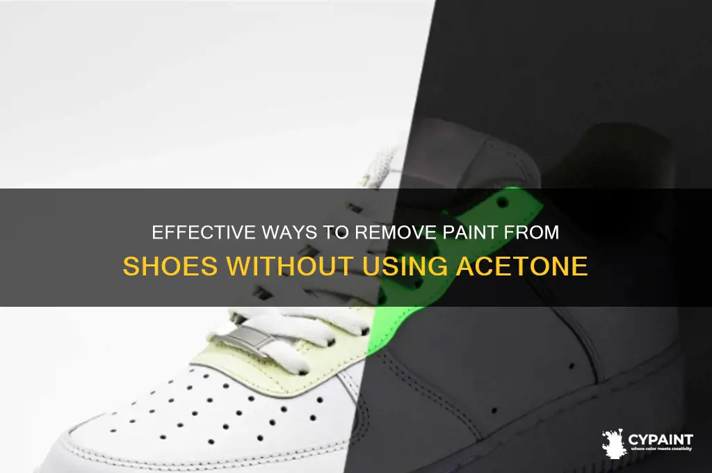 Effective Ways To Remove Paint From Shoes Without Using Acetone | CyPaint