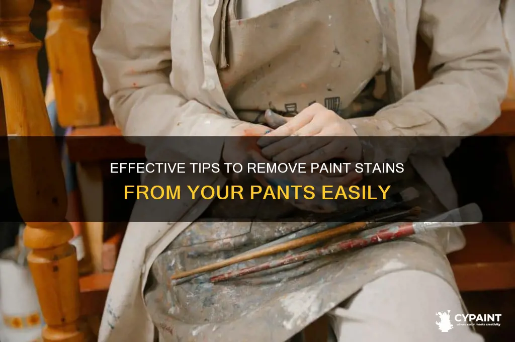 Effective Tips To Remove Paint Stains From Your Pants Easily | CyPaint