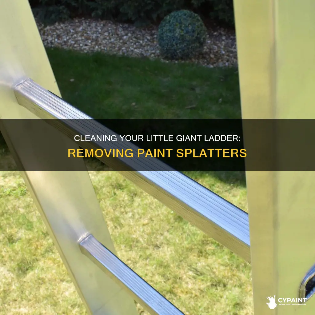 Cleaning Your Little Giant Ladder: Removing Paint Splatters | CyPaint