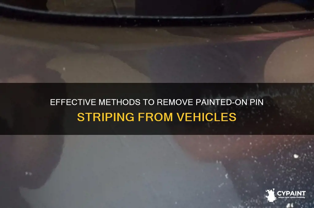 Effective Methods To Remove Painted-On Pin Striping From Vehicles | CyPaint