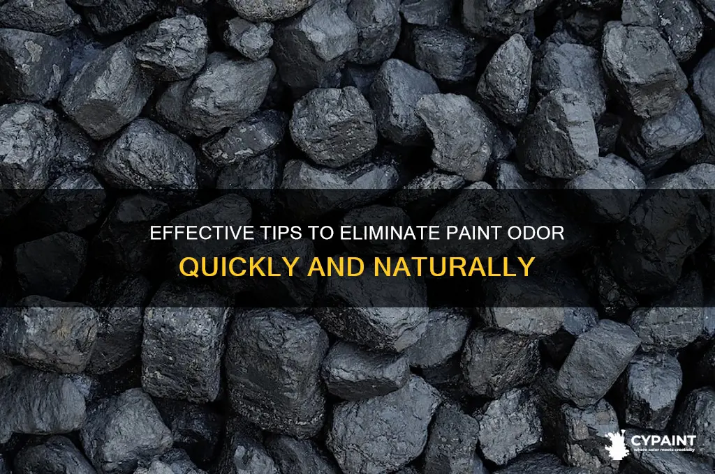 Effective Tips To Eliminate Paint Odor Quickly And Naturally | CyPaint