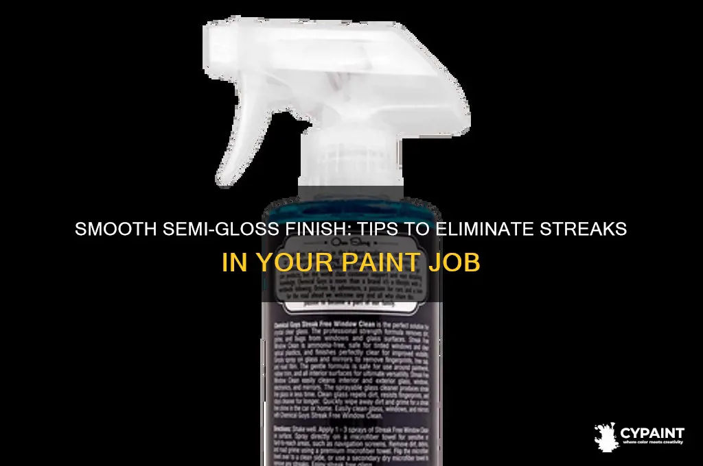 Smooth Semi-Gloss Finish: Tips To Eliminate Streaks In Your Paint Job ...