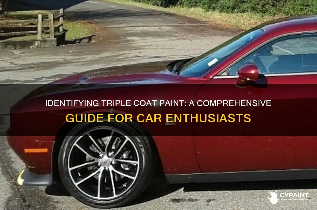 Identifying Triple Coat Paint: A Comprehensive Guide For Car ...