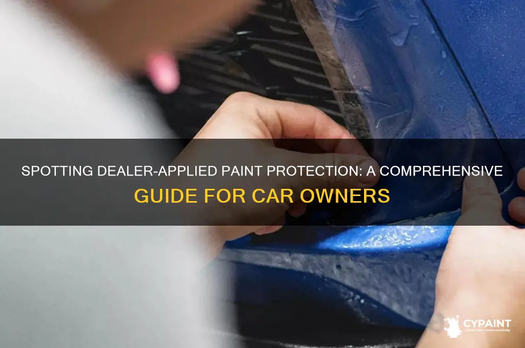 Spotting Dealer-Applied Paint Protection: A Comprehensive Guide For Car ...
