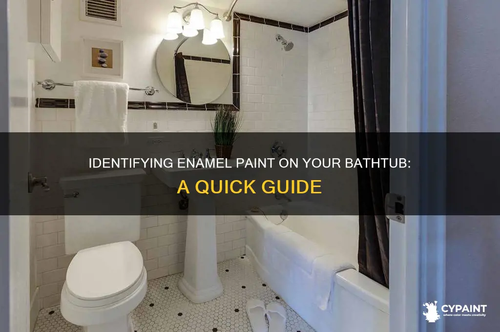 Identifying Enamel Paint On Your Bathtub: A Quick Guide | CyPaint