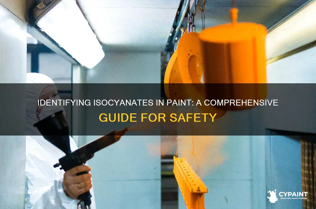 Identifying Isocyanates In Paint: A Comprehensive Guide For Safety ...