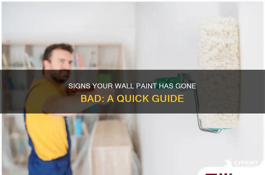 Signs Your Wall Paint Has Gone Bad: A Quick Guide | CyPaint