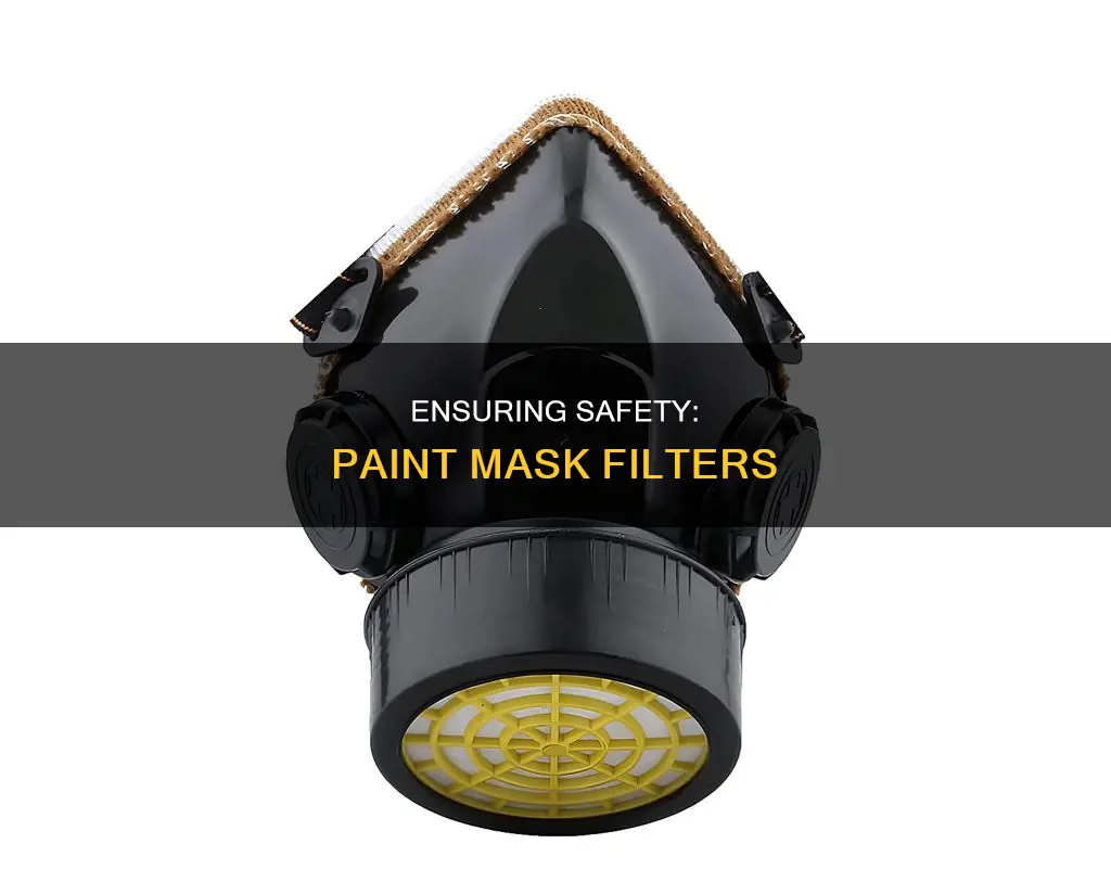 Ensuring Safety: Paint Mask Filters | CyPaint