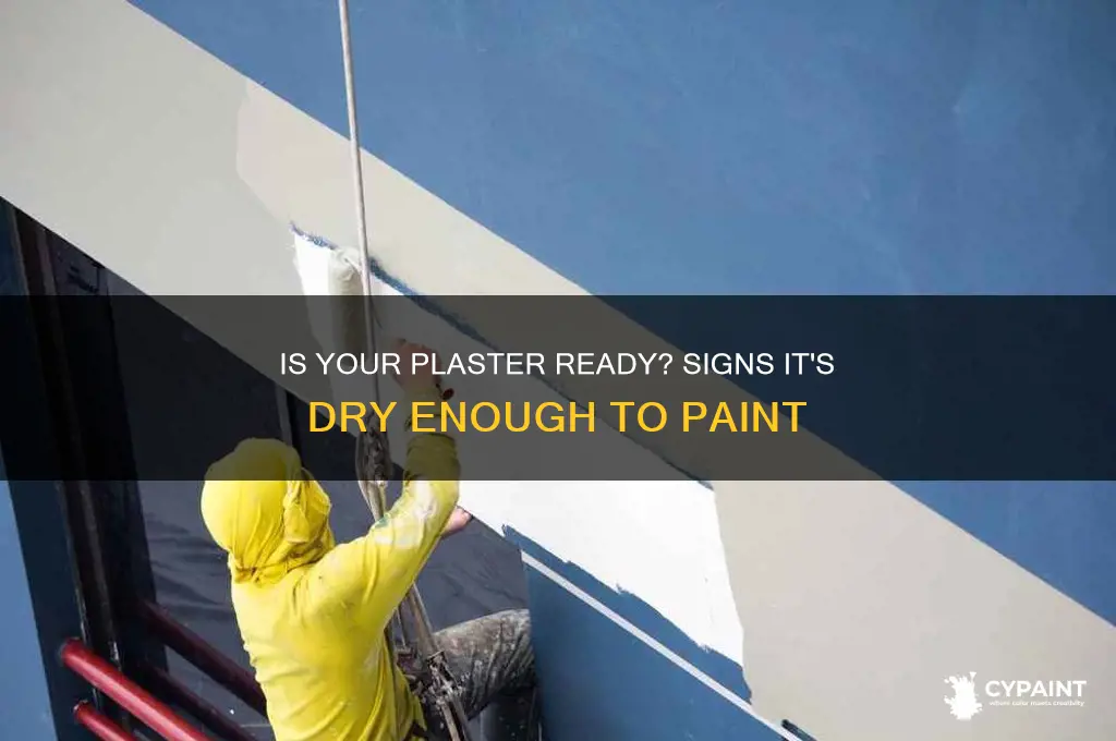 Is Your Plaster Ready? Signs It's Dry Enough To Paint | CyPaint