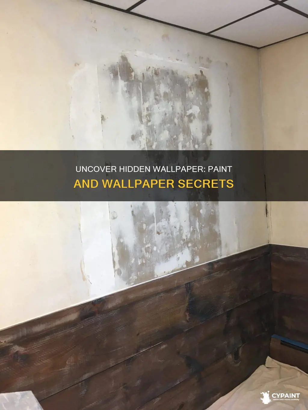 Uncover Hidden Wallpaper: Paint And Wallpaper Secrets | CyPaint