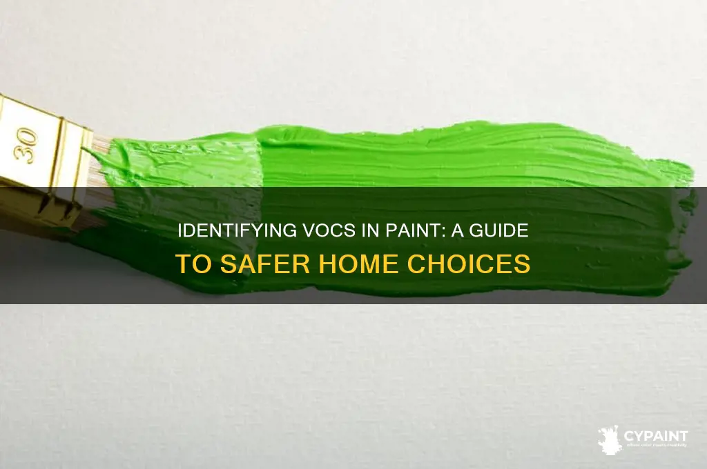 Identifying Vocs In Paint: A Guide To Safer Home Choices | CyPaint