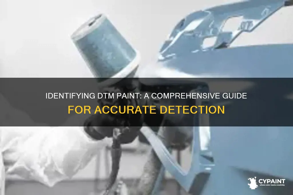 Identifying Dtm Paint: A Comprehensive Guide For Accurate Detection ...