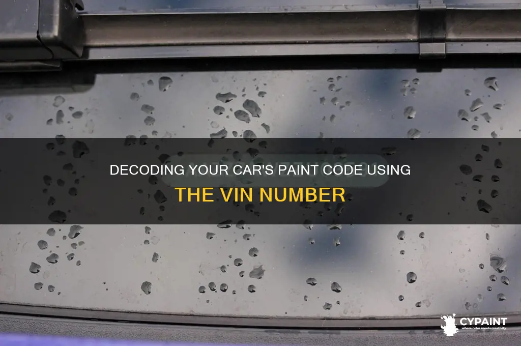Decoding Your Car's Paint Code Using The Vin Number | CyPaint