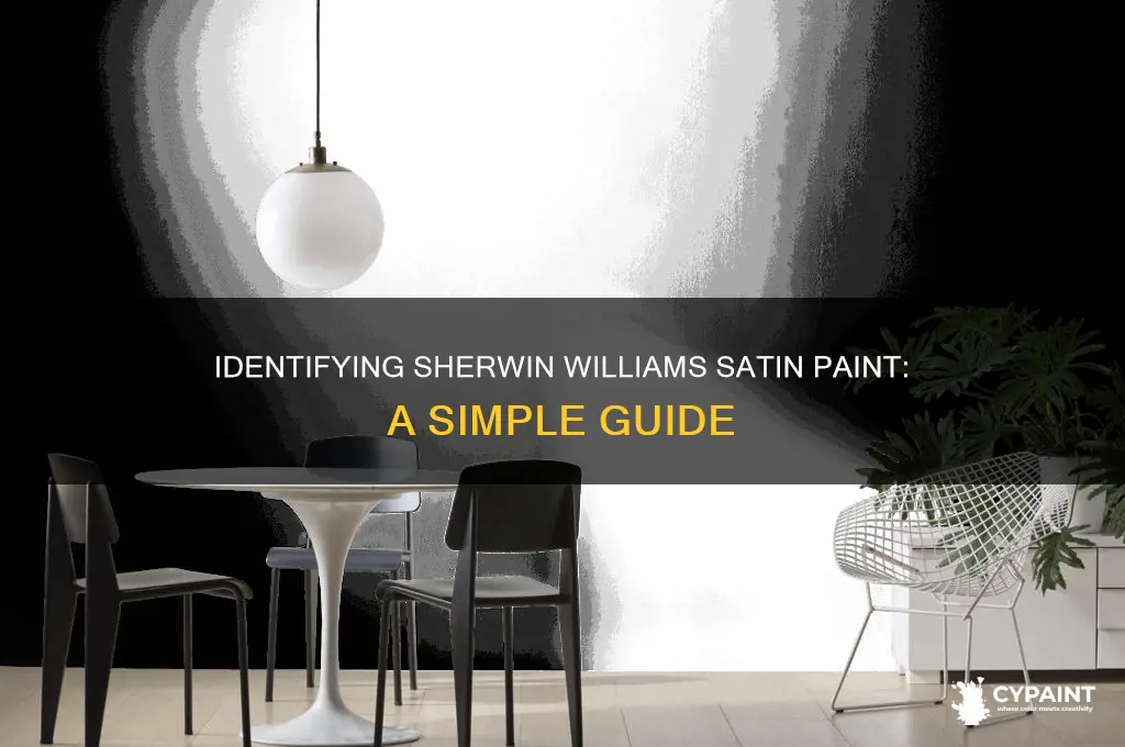 Identifying Sherwin Williams Satin Paint: A Simple Guide | CyPaint