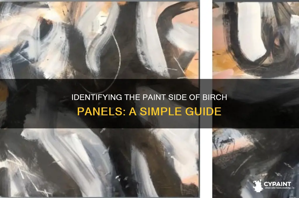 Identifying The Paint Side Of Birch Panels: A Simple Guide | CyPaint