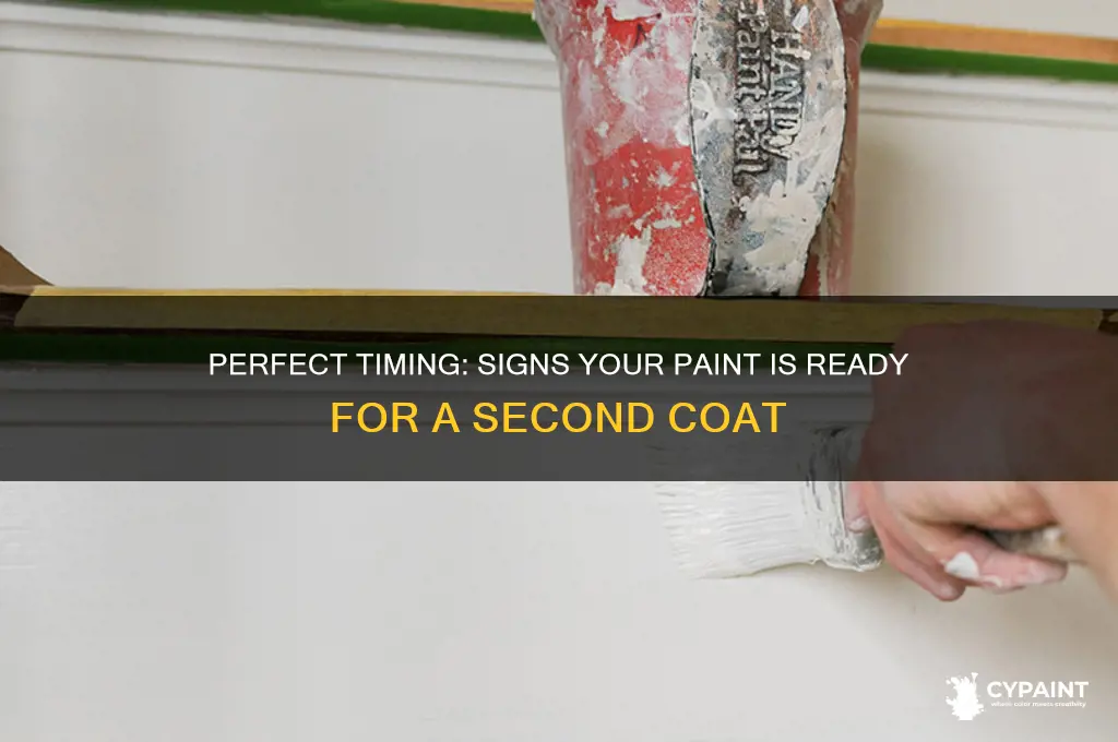 Perfect Timing: Signs Your Paint Is Ready For A Second Coat | CyPaint