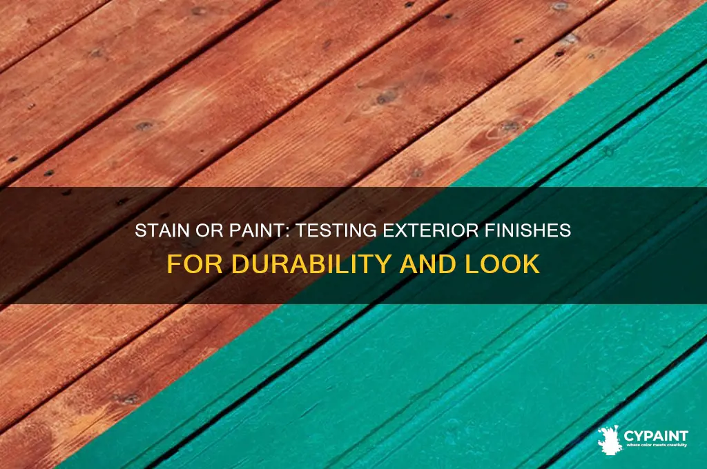 Stain Or Paint: Testing Exterior Finishes For Durability And Look | CyPaint