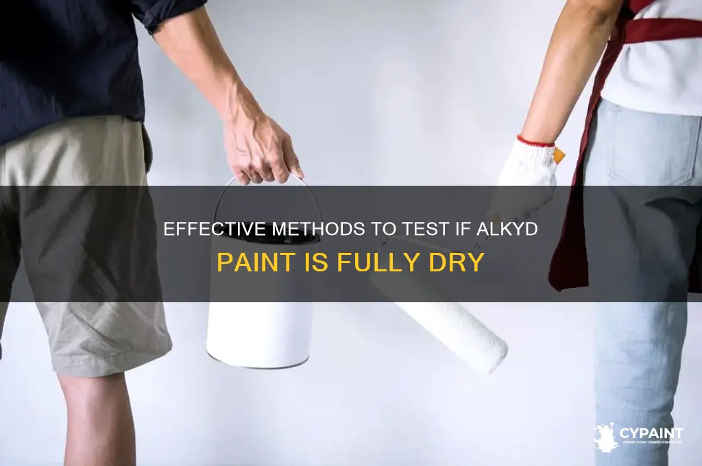 Effective Methods To Test If Alkyd Paint Is Fully Dry | CyPaint
