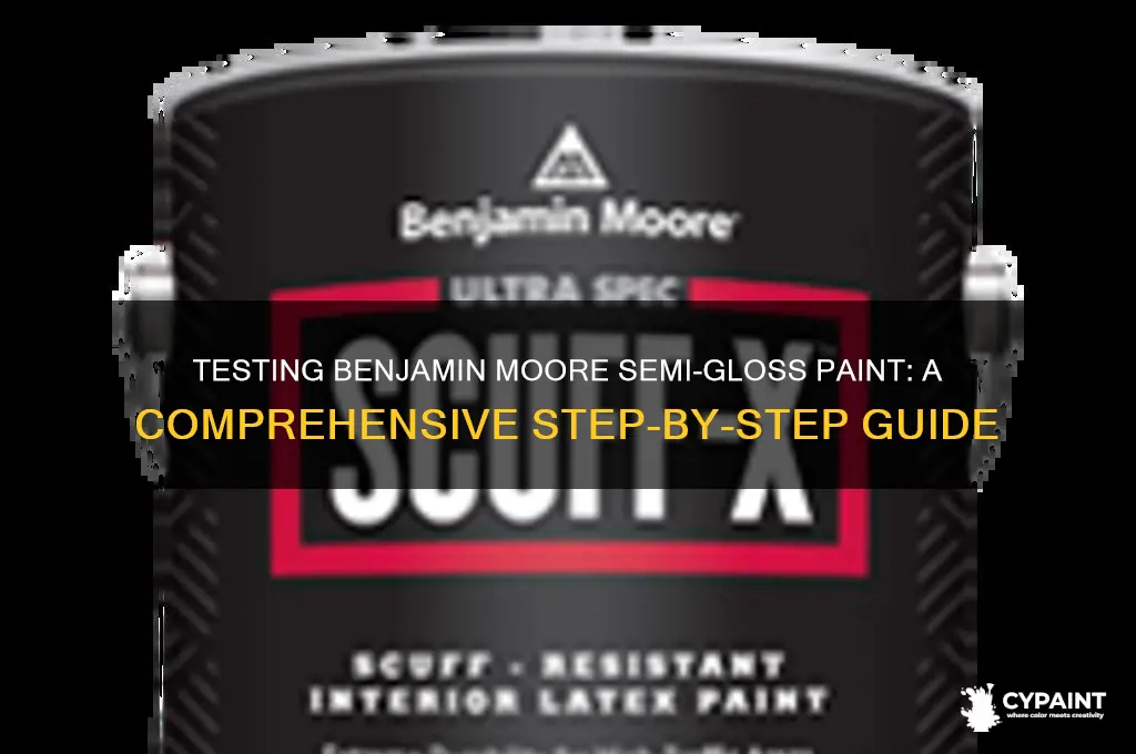 Testing Benjamin Moore Semi-Gloss Paint: A Comprehensive Step-By-Step ...