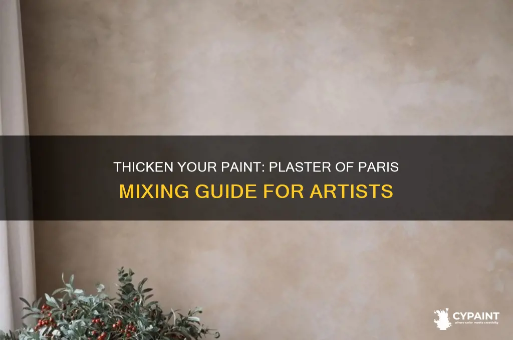 Thicken Your Paint: Plaster Of Paris Mixing Guide For Artists | CyPaint
