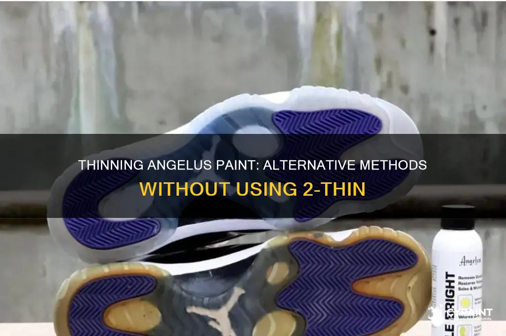Thinning Angelus Paint: Alternative Methods Without Using 2-Thin | CyPaint